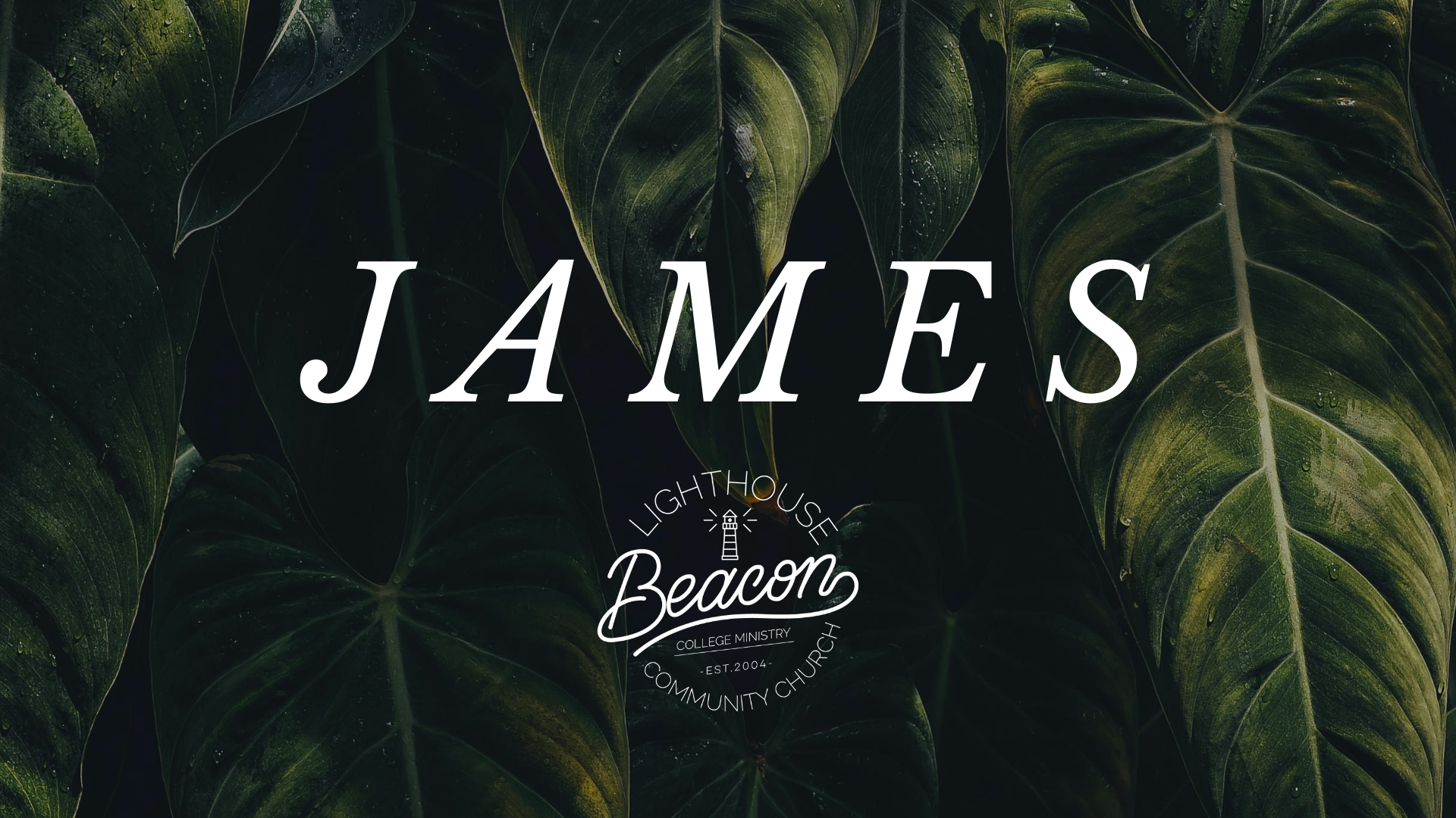 Faith Favoritism James 2 1 13 Lighthouse Community Church Faith Favoritism James 2 1 13 Lighthouse Community Church